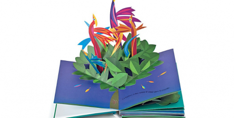 Atelier Pop Up // Réalise ton livre // dès 8 ans // Librairie Tire-Lire ...