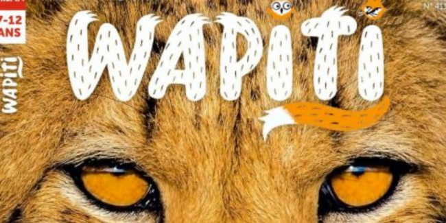 L'agenda des sorties pour enfants-Toulouse et aux alentours-Kidiklik